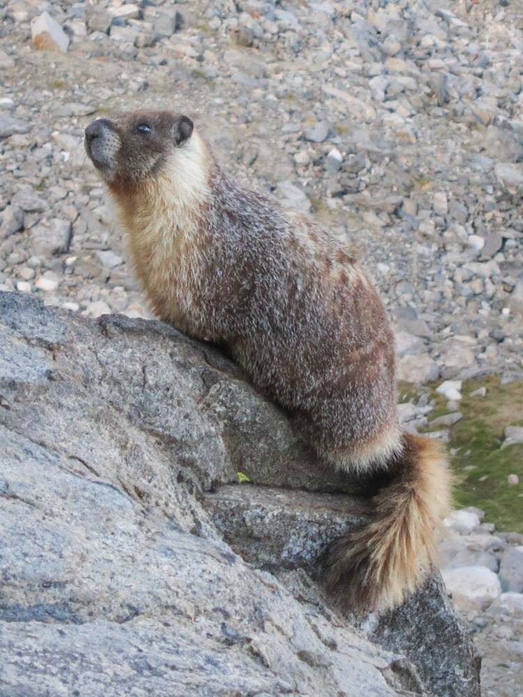 Five Lessons from the Trail – Wandering the Wild