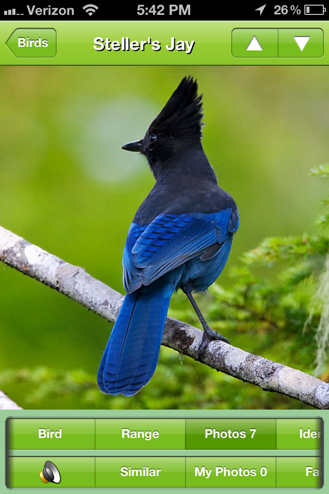 Gear Review: Cameras, Solar Panel, Apps, and Phones – Wandering the Wild