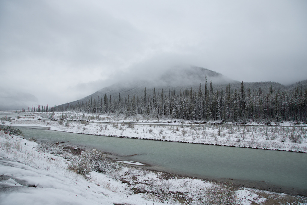 Jasper National Park – Wandering the Wild