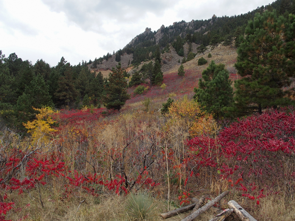 Fowler Trail, Eldorado Canyon State Park – Wandering the Wild