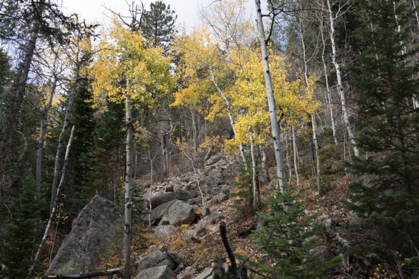 Backpacking Photos from Wild Basin, Rocky Mountain National Park ...
